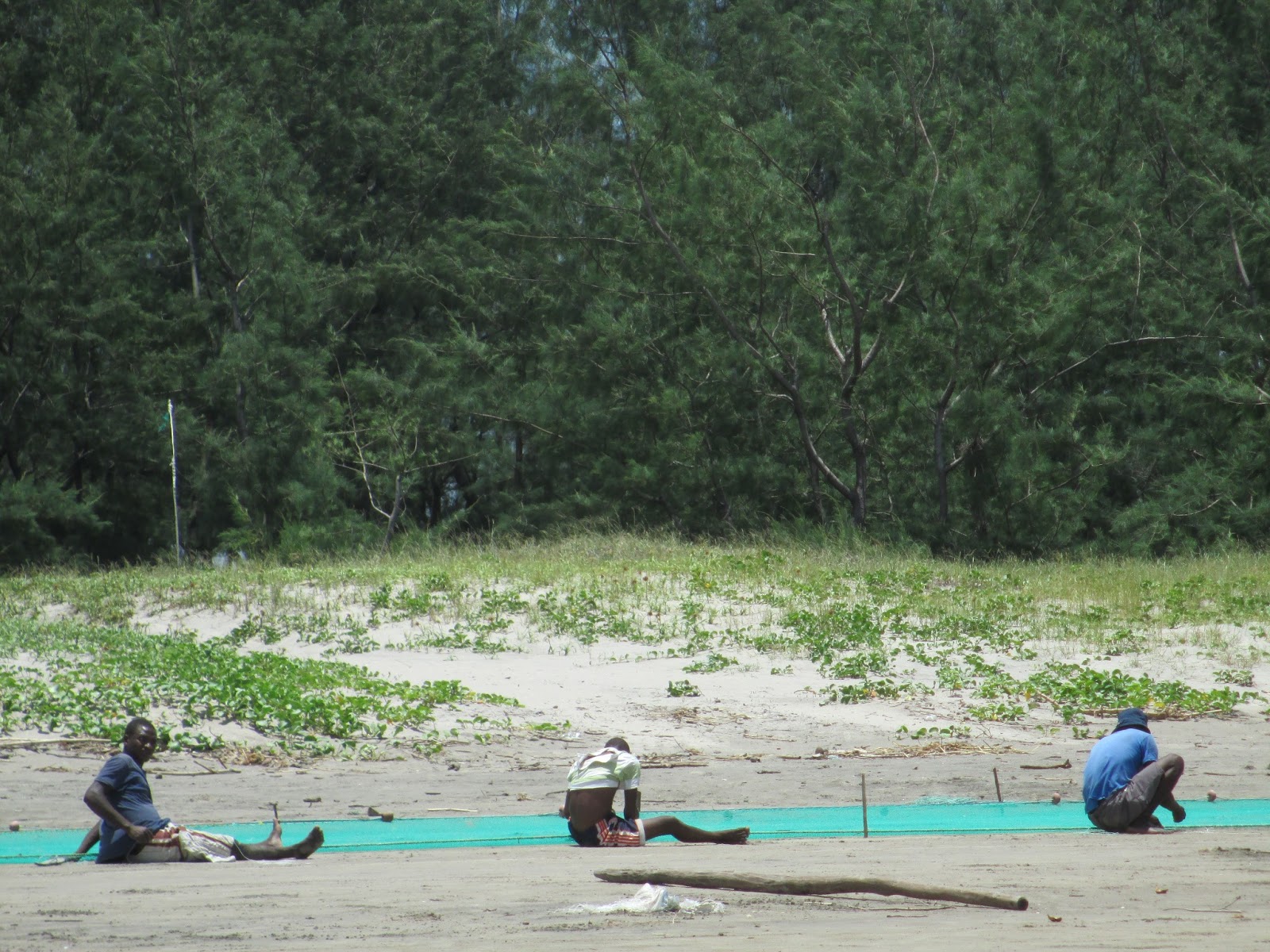 Vinte e Sete Meses em Moçambique : Pictures of Quelimane, Mozambique