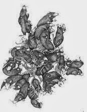 O fenômeno rei rato Noite Sinistra