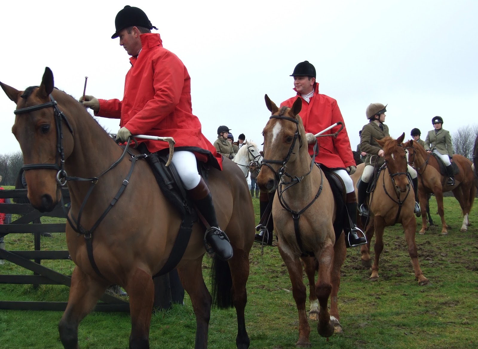 Devon & Somerset Pony Club: PHOTO GALLERY