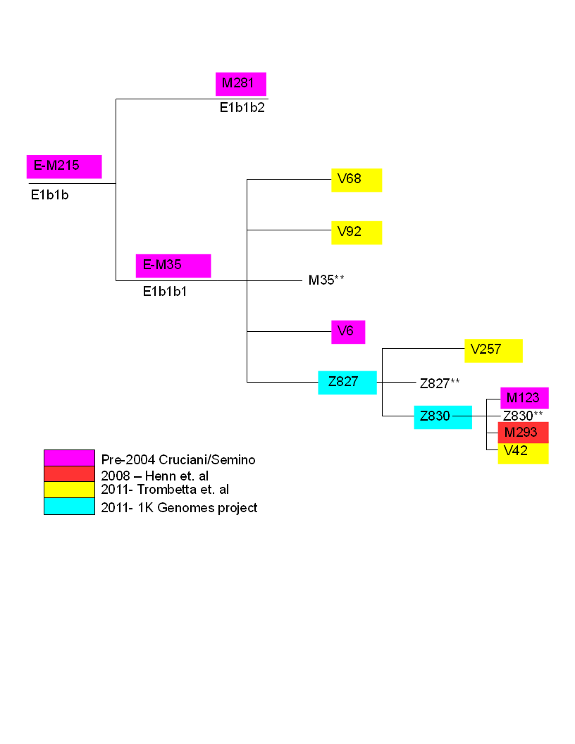 Ethio Helix ኢትዮ:ሒሊክስ: E1b1b Update