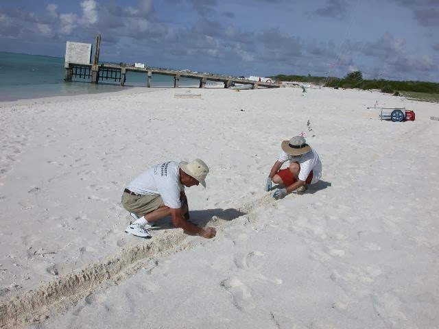 Kure Atoll - Travel Guide - Exotic Travel Destination