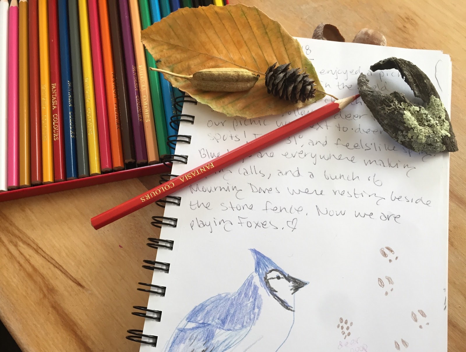 Nature Journaling