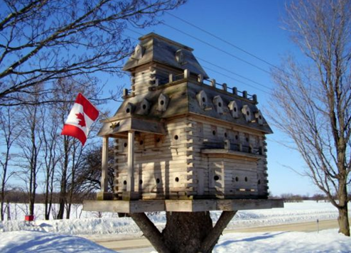 Spend Like A King: Luxury Birdhouses and Bird Mansions For Pet Birds