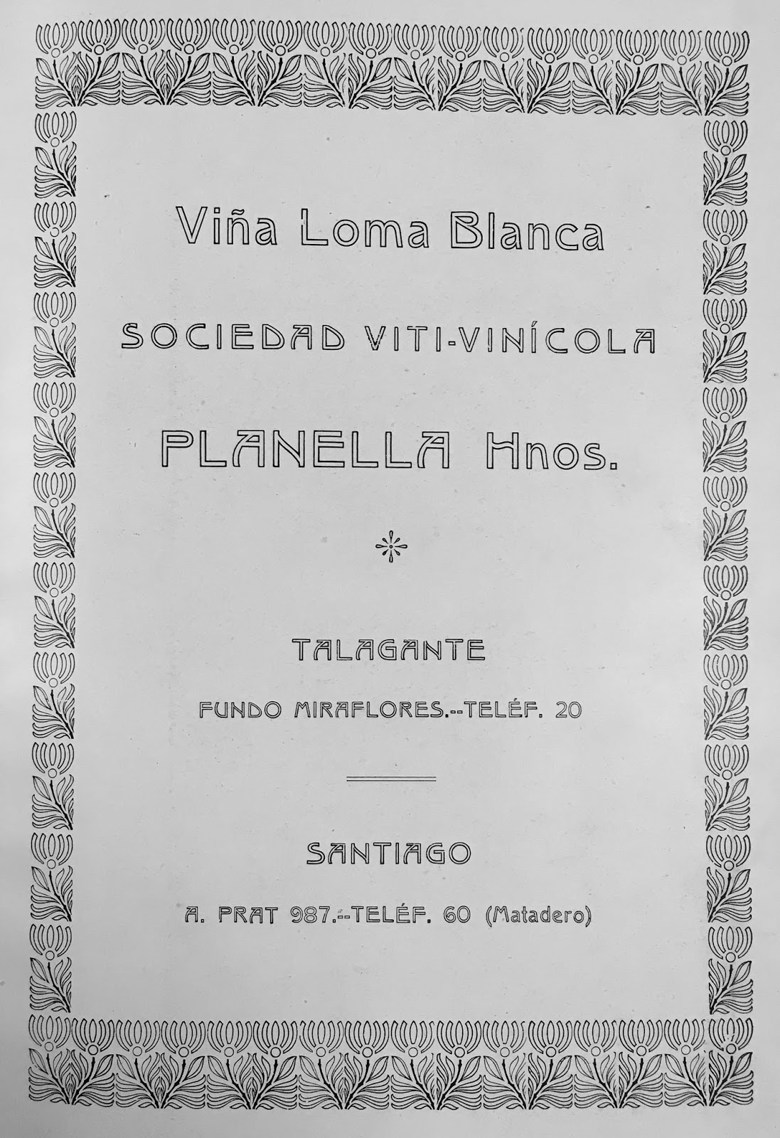 SABARNAN: LA HUELLA CATALANA EN LA VIÑA CHILENA