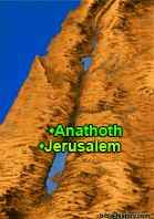 Profiting From Jeremiah: Jeremiah 11