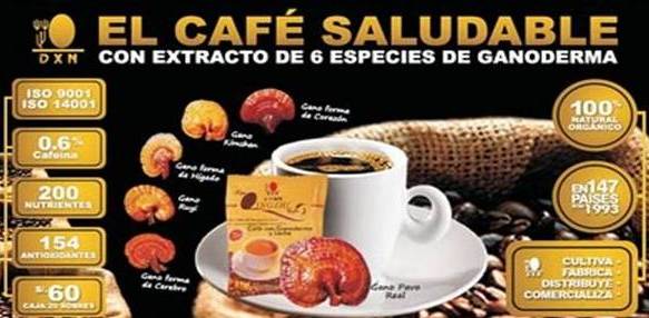 El universo del cafe Organico