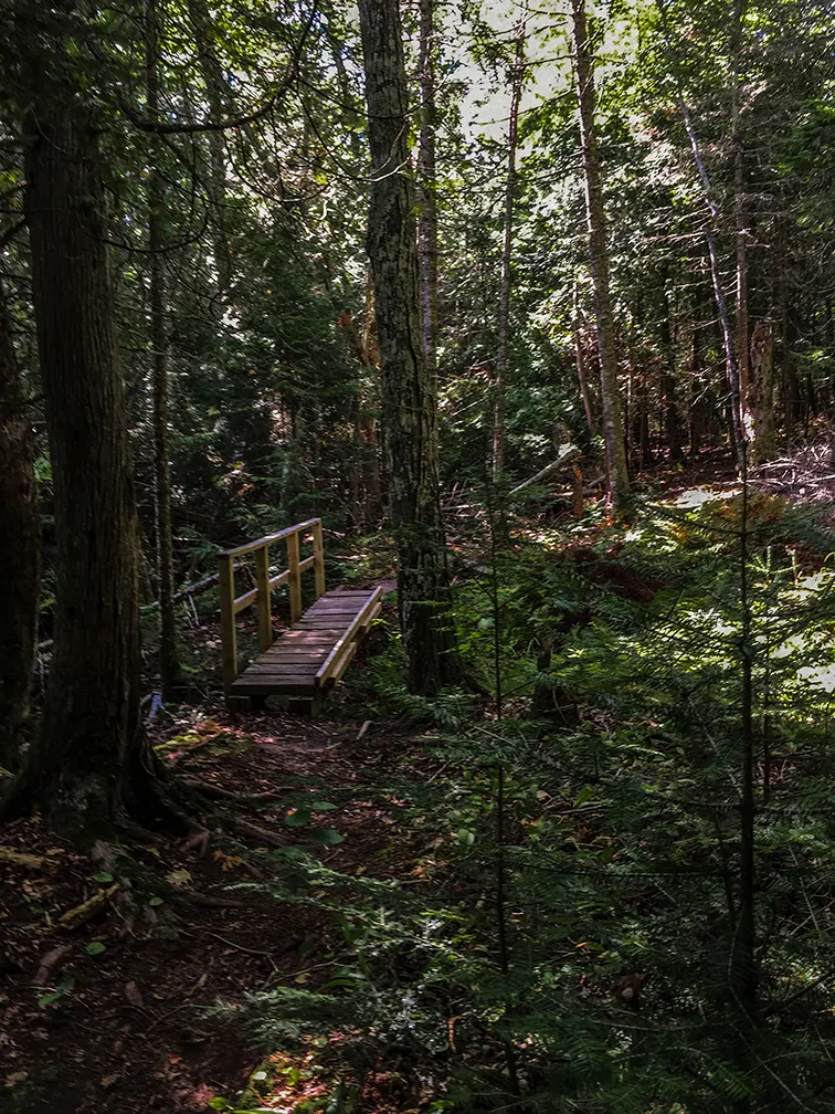 Hiking Frog Bay National Park in Red Cliff WI