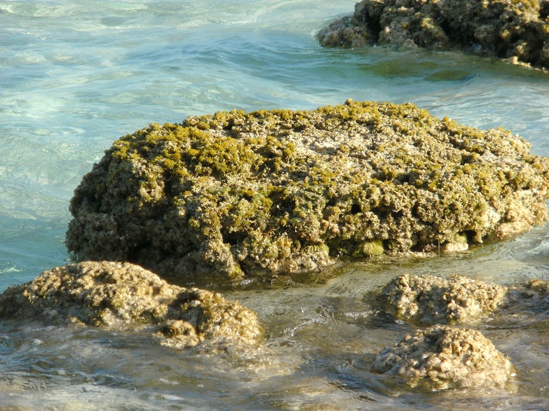 Raydiance: The Beautiful Exumas