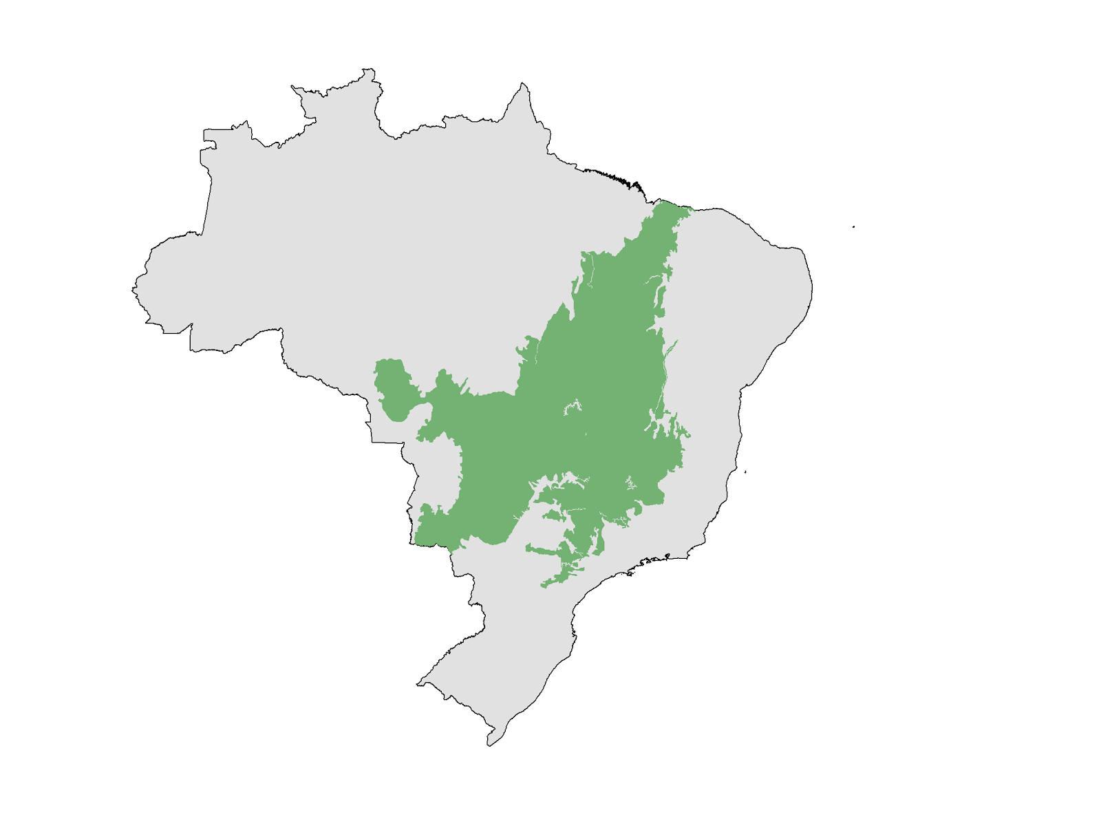 Mato & Cia: Biomas Brasileiros - Cerrado