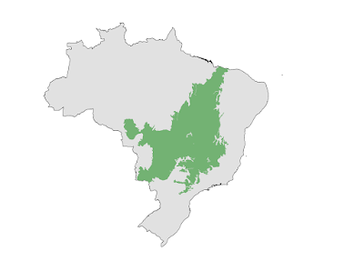 Mato & Cia: Biomas Brasileiros - Cerrado