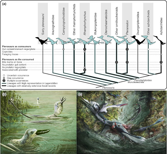Mark P. Witton's Blog: New paper: pterosaur palaeoecology, as told by ...