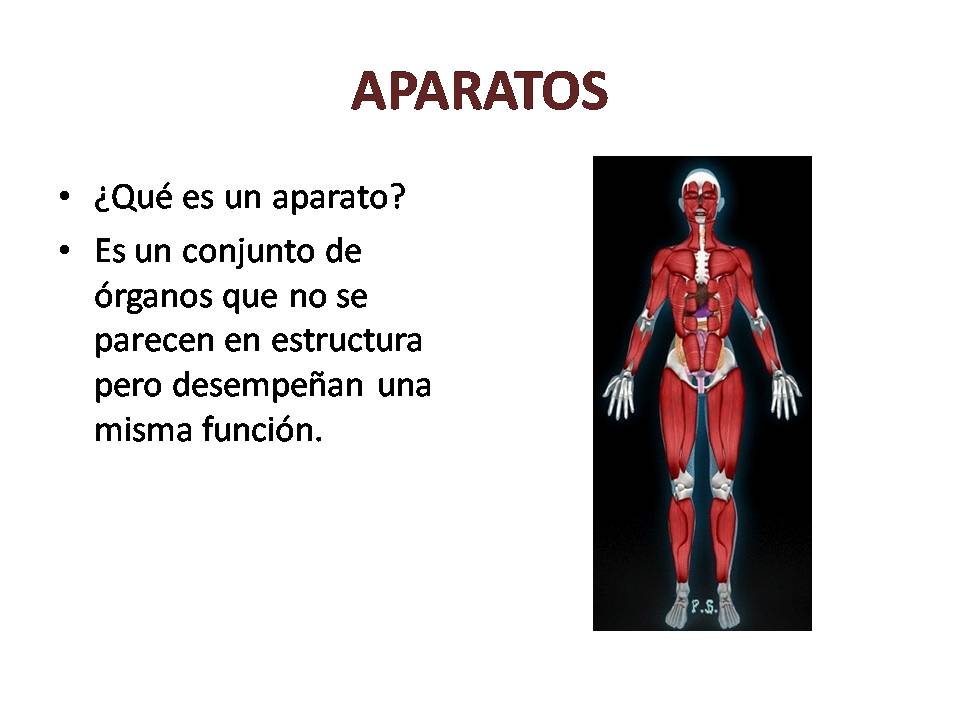 ANATOMIA APLICADA: BLOQUE 1. SISTEMAS Y APARATOS