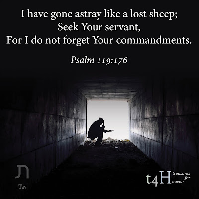 Treasures for Heaven: Psalm 119, Verse 176