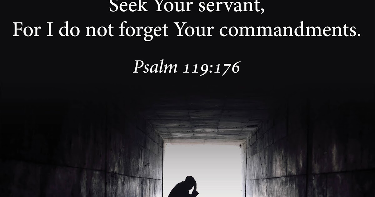 Treasures for Heaven: Psalm 119, Verse 176