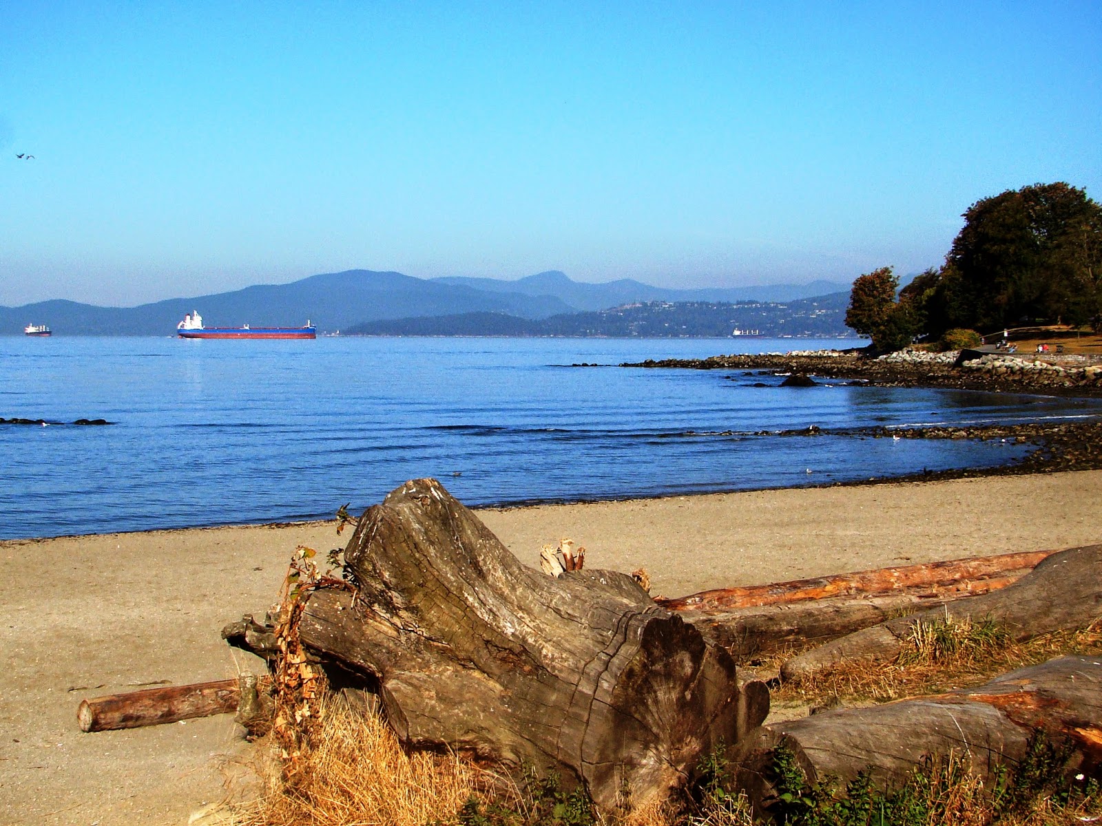 Canadá 2012: Vancouver-English Bay Beach