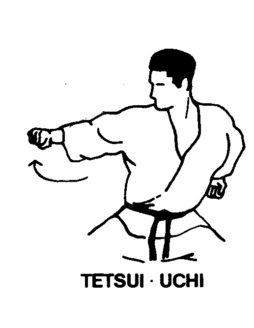 Bushin Dojo : Tetsui Uchi