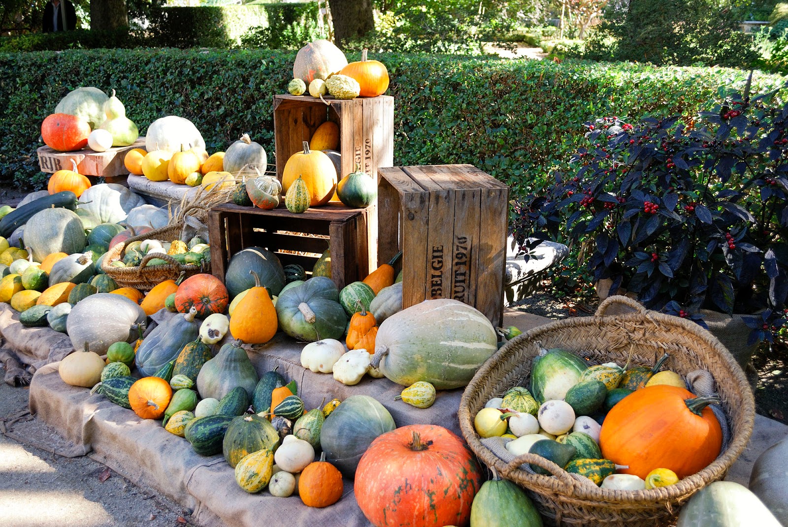 What to do in Madrid in November | Memories of the Pacific