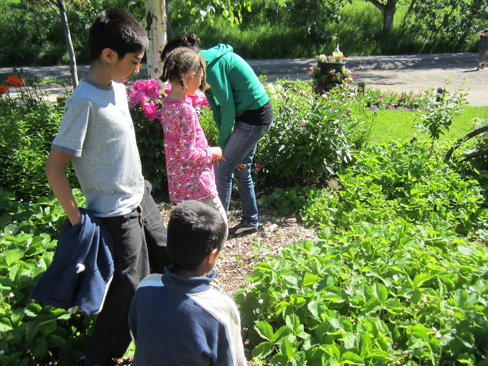 Kids Grow!: Wisdom of the Orchard