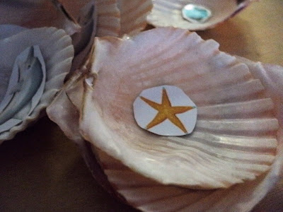 A Little Learning For Two: Seashell Matching Game