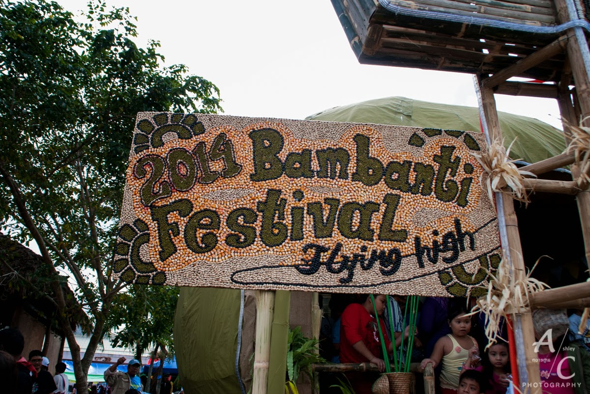 An Endlessly Changing Horizon: Bambanti Festival