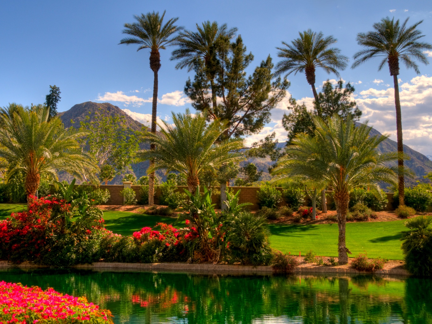 Foto Beautiful Nature Park ~ Wallpaperoi