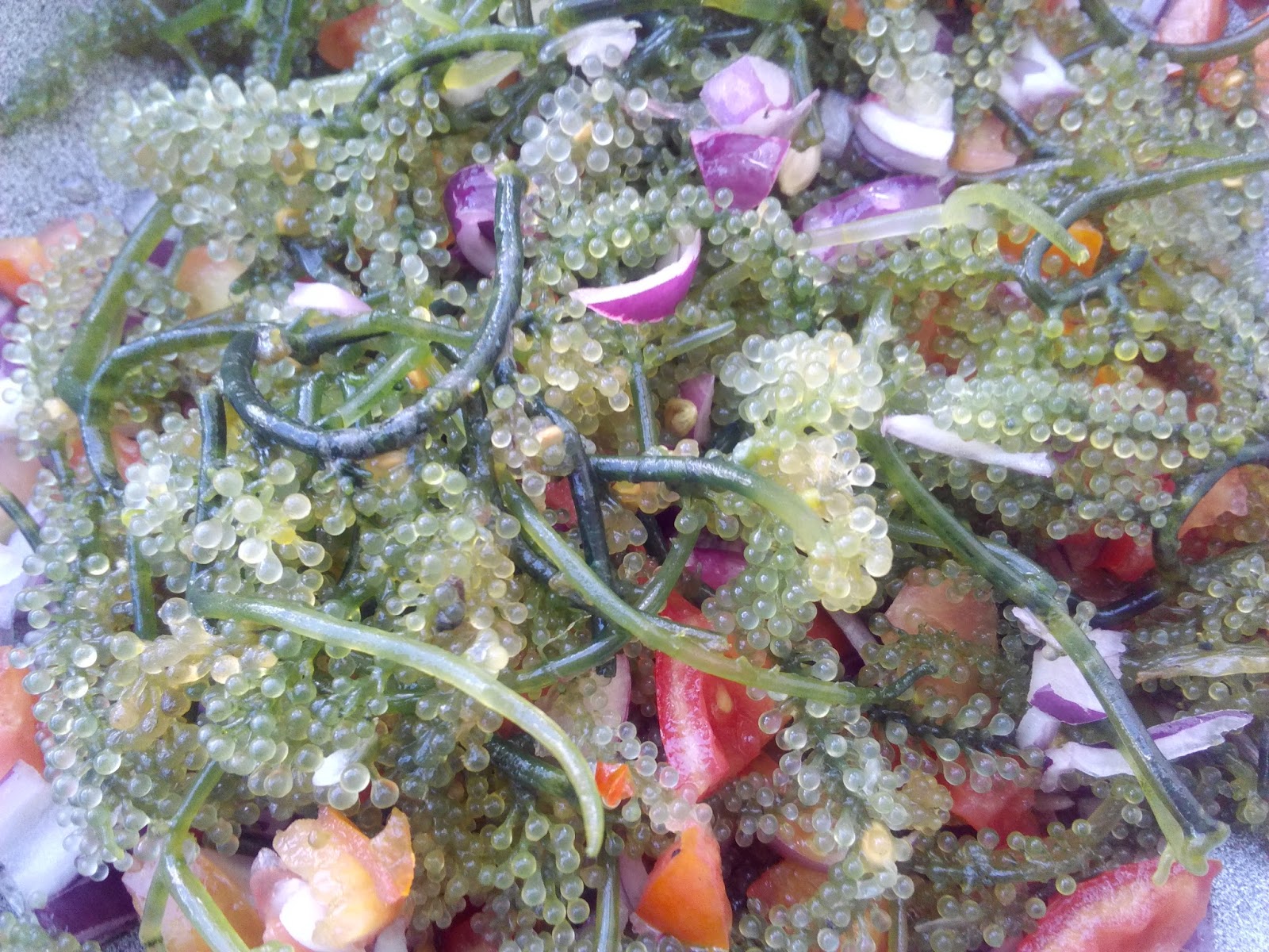 dalikan: Organic Food: Salad - Arosep Salad (Arosep or Ar-arosep is ...