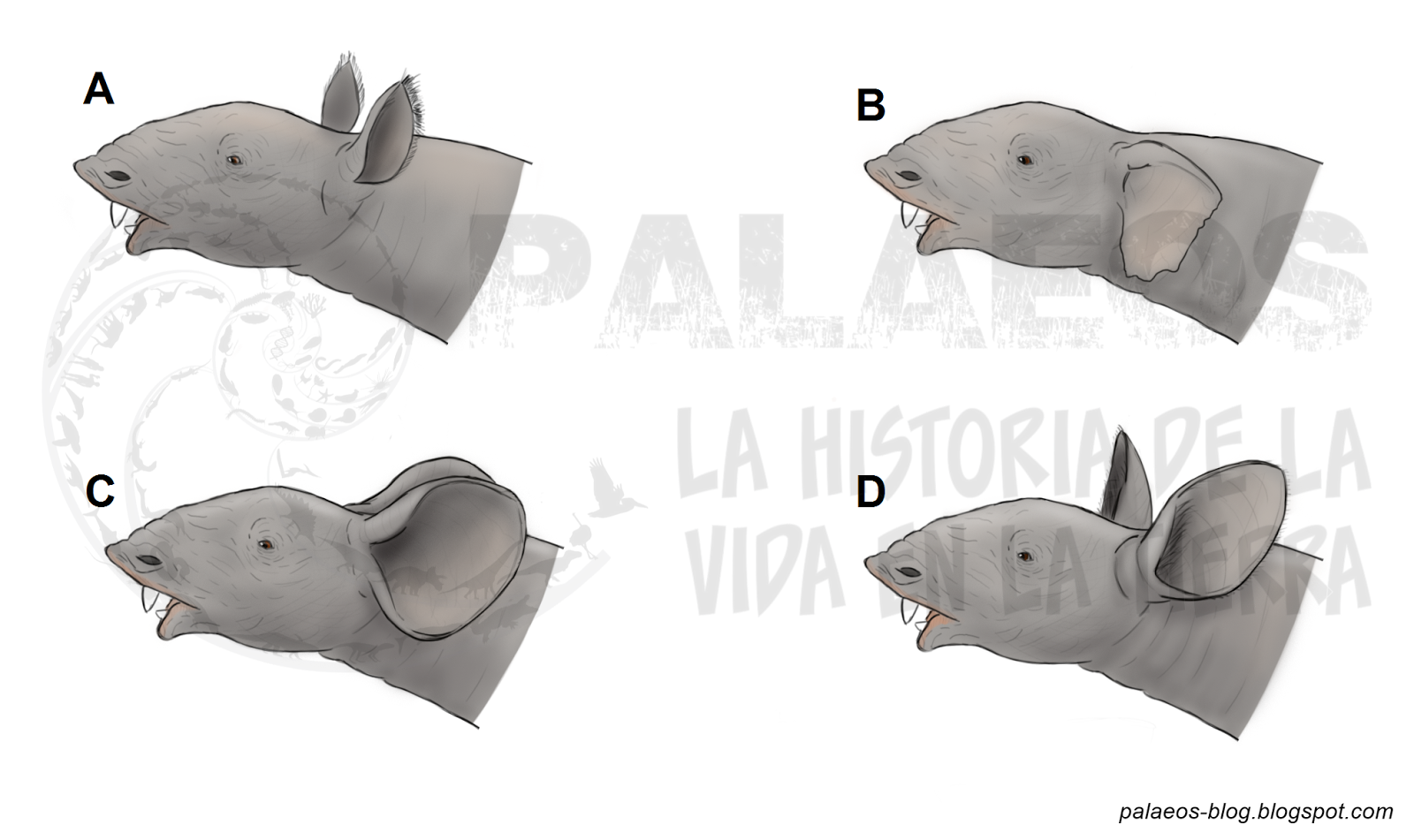 Palaeos, la historia de la Vida en la Tierra: septiembre 2015