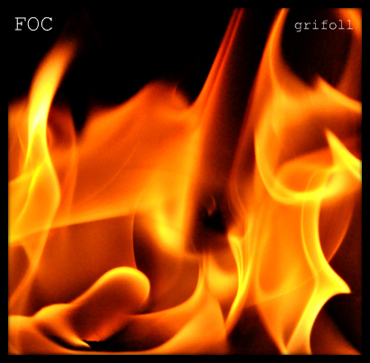 griFOLL museum: VIDA i FOCS