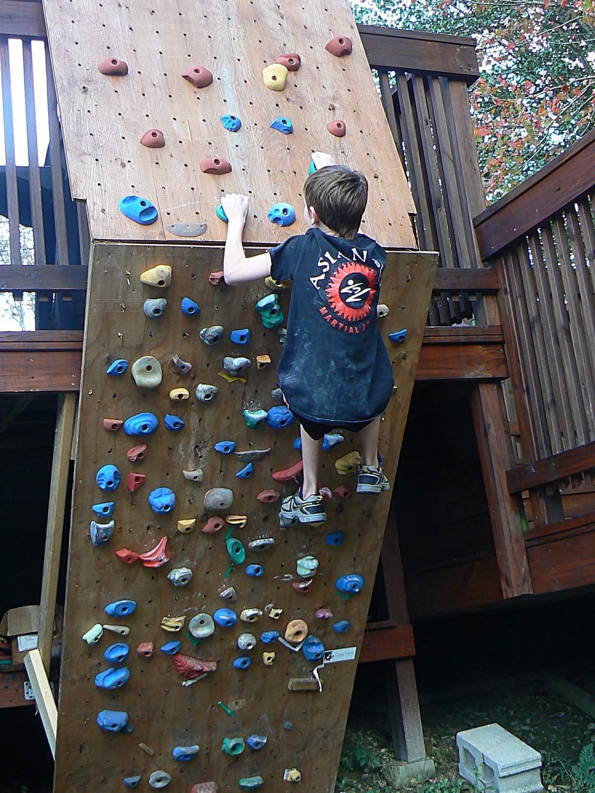 101 Days of Homeschooling: Day 27 / 102 - At Home Climbing Wall