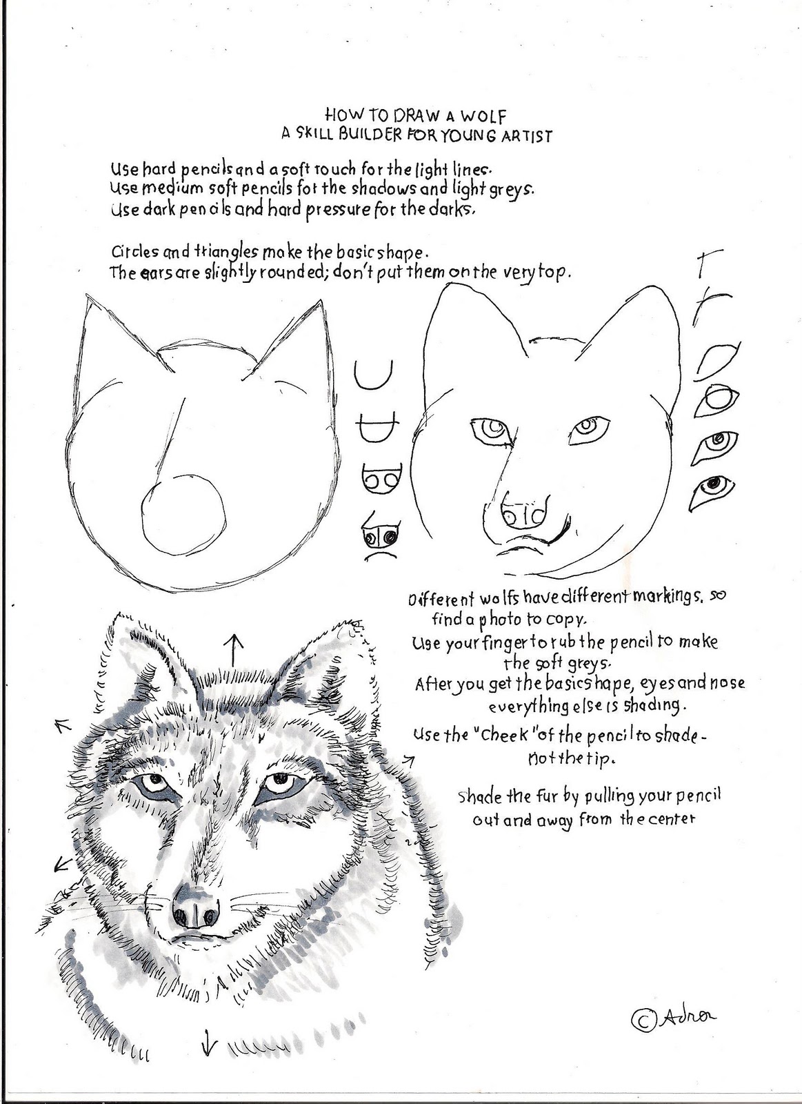 How to Draw Worksheets for The Young Artist: How to Draw a Wolf - A ...