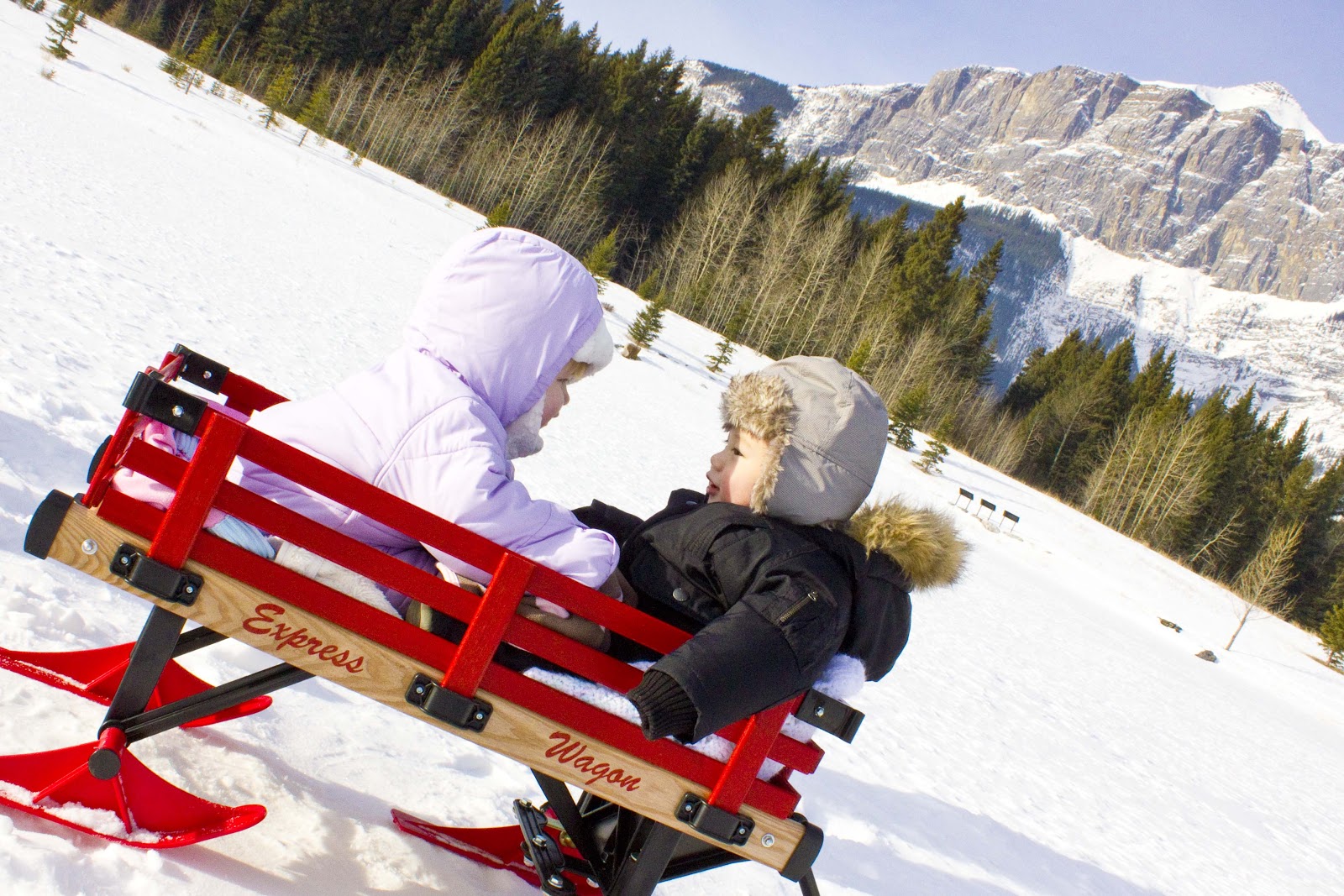 Corner Orchid: Let's Go Sledding