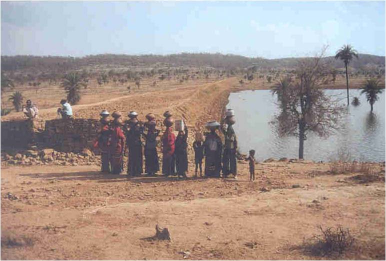 Waterman of India: ARVARI, THE RIVER a people’s movement