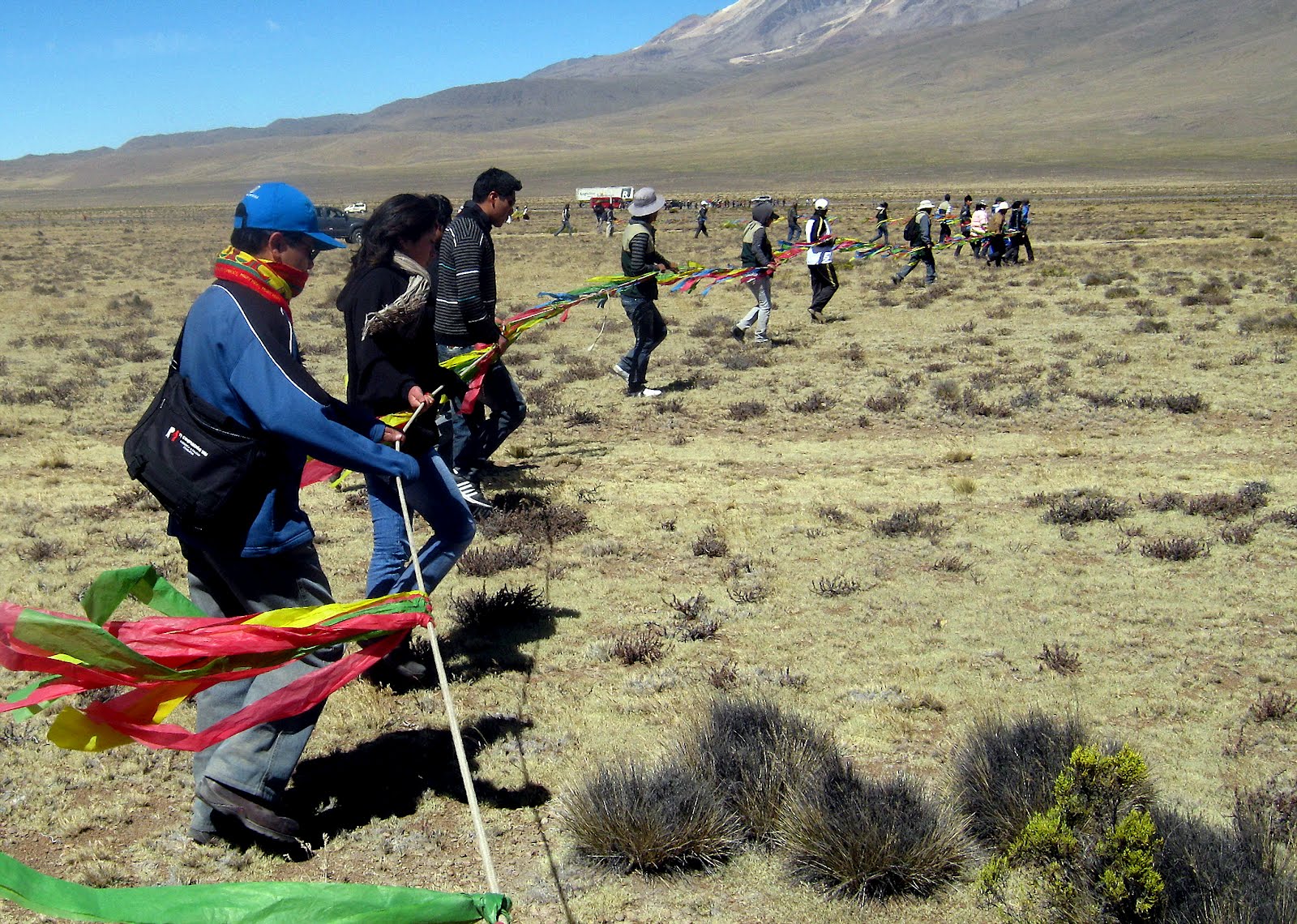 Colca Canyon Peru: Traditional capture of Vicuñas (Chacu) was performed ...