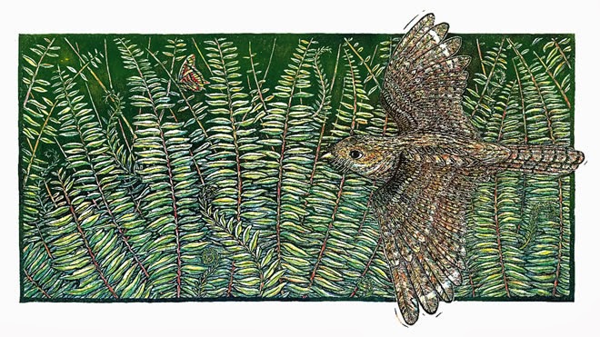 A thing of beauty is a joy forever: Narelle Oliver