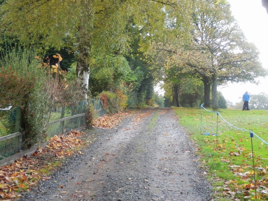 My Daily Walk: Dunblane Golf Course