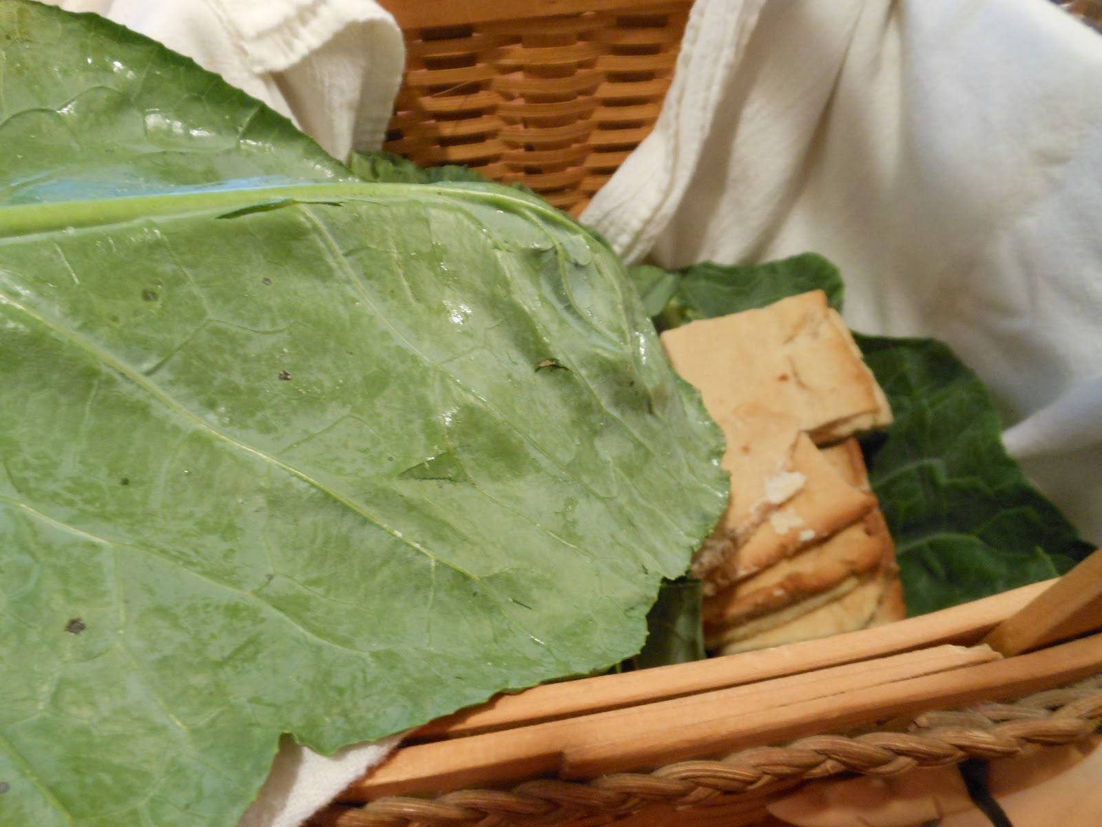 Musings of an Old-Fashioned Young Woman: Elvish Waybread