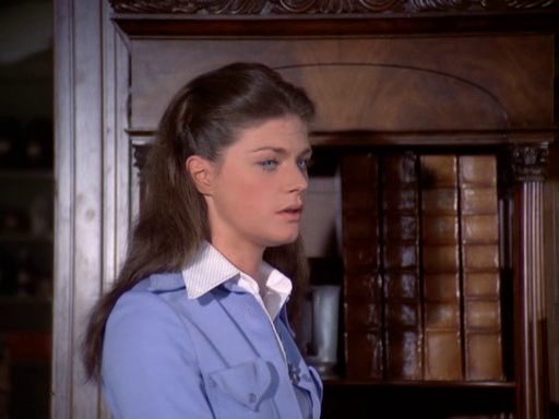 Zebradelic: Meg Foster: 1970s detective show glory!