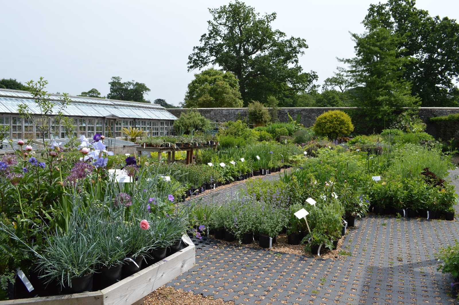 A delightful visit to Parham House and Gardens