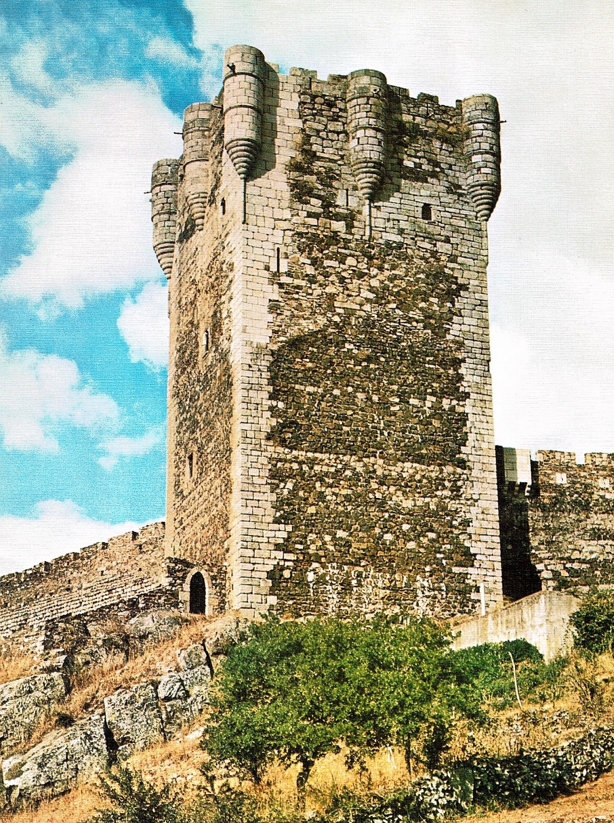 Castillos de Salamanca: Monleón