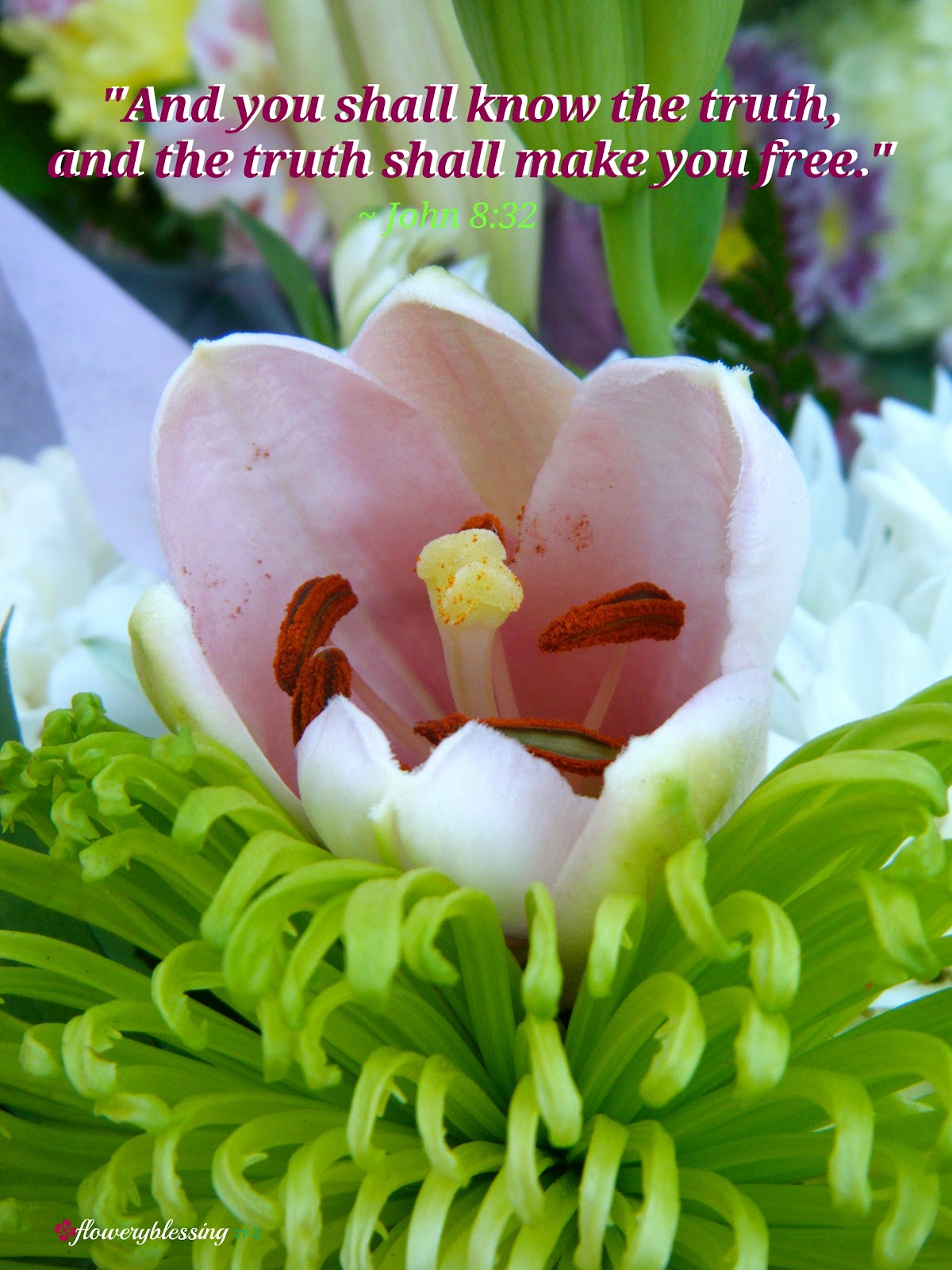 Flowery Blessing: "And you shall know the truth, and the truth shall ...