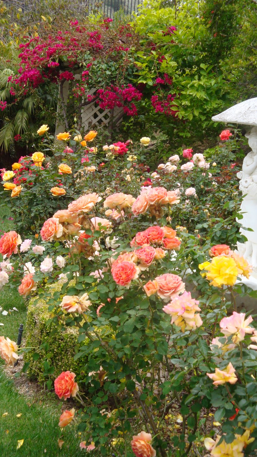 Entertaining From an Ethnic Indian Kitchen: Tea at the Rose Garden