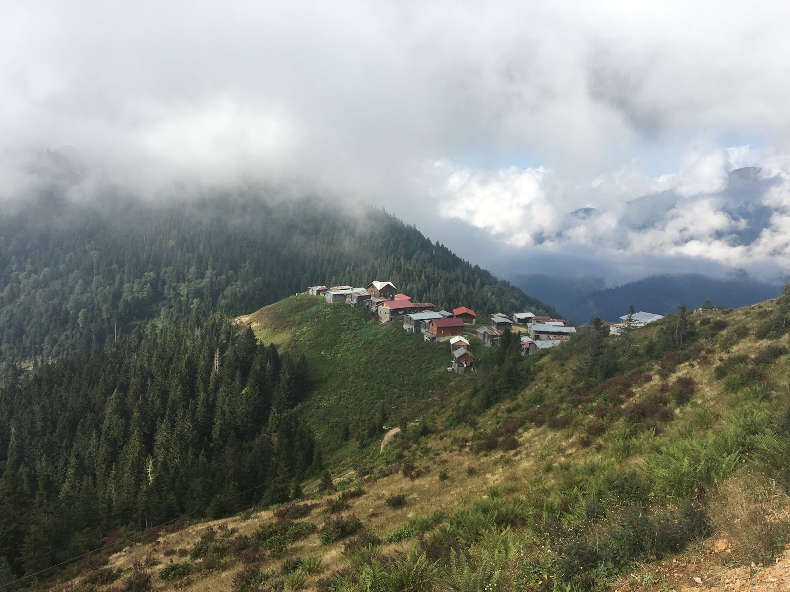 Karadeniz Outdoor: POKUT YAYLASI / RİZE