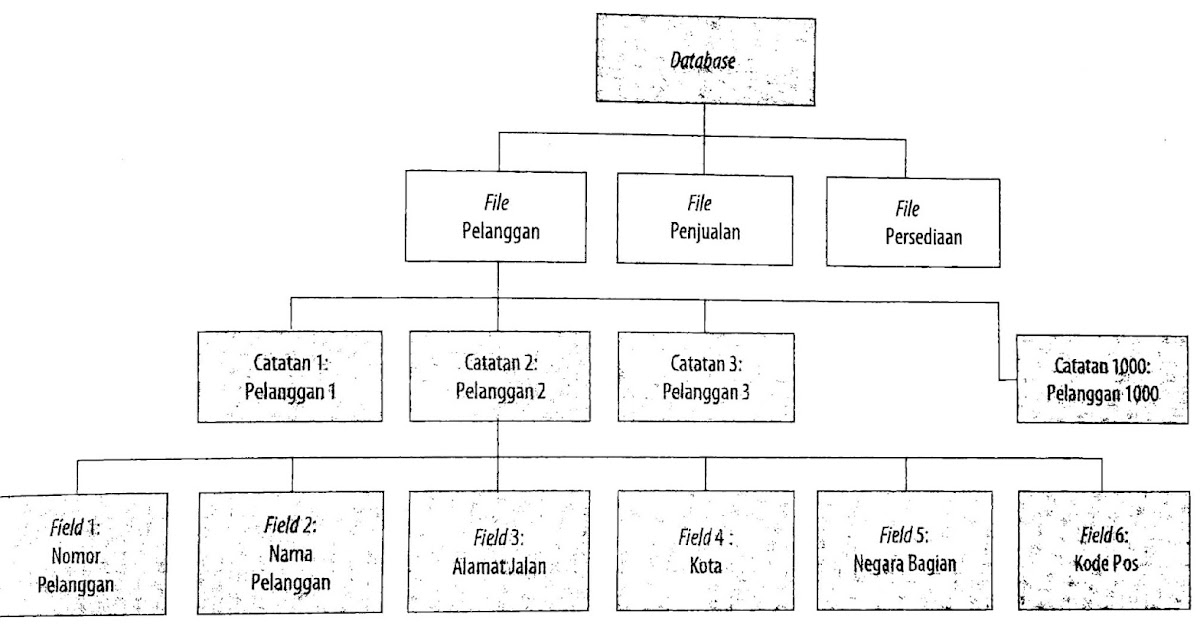 Struktur Database - 13 teknik entity relationship analisa kebutuhan ...
