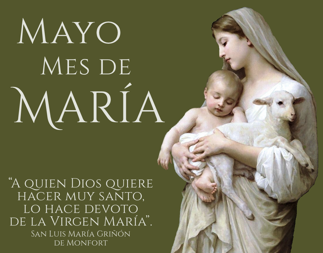 Apacienta mis Ovejas: Mayo, mes de María