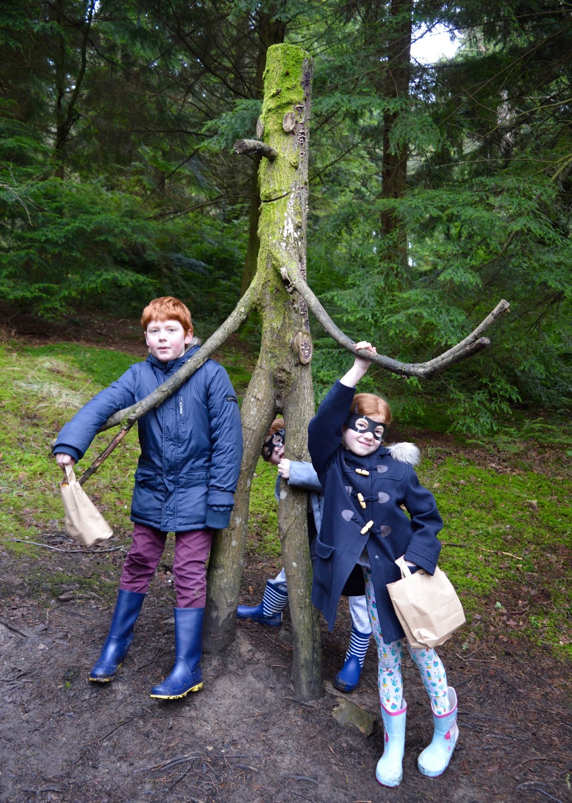 The New Highway Rat Trail & Gruffalo Spotting at Kielder Forest in ...