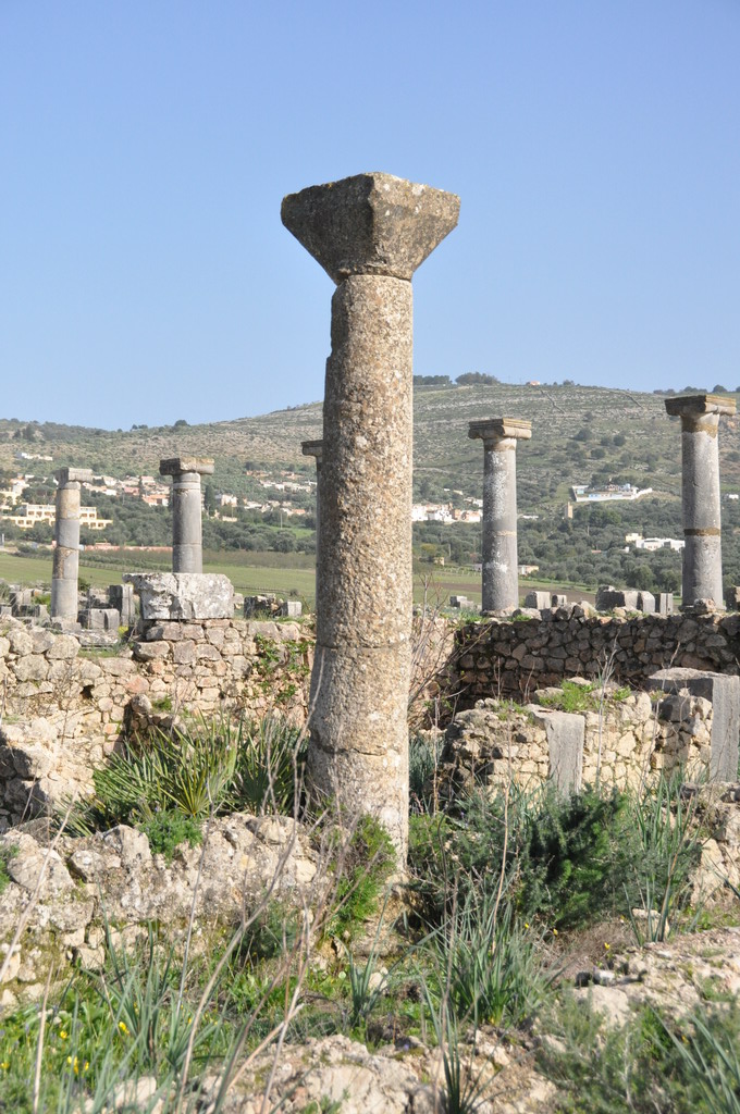IPAT2013-CarlosBernalRamirez: LAS COLUMNAS