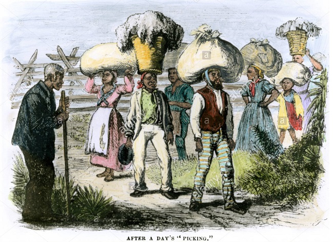 The Cotton Kingdom, Abolition, and Manifest Destiny