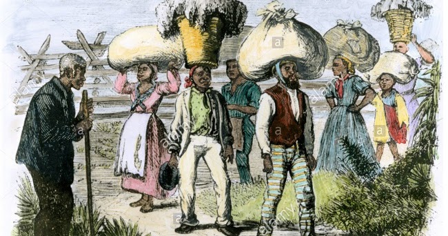 The Cotton Kingdom, Abolition, and Manifest Destiny