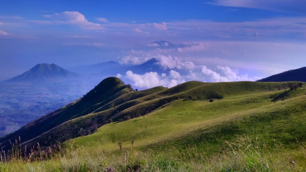 Pendakian Gunung Merbabu via Suwanting - VOLCANOTE INDONESIA