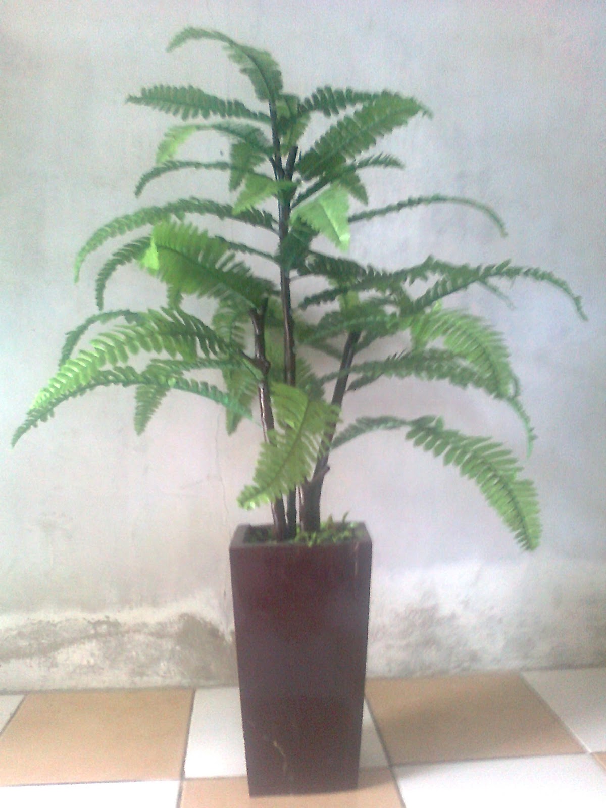 Toko Latulip Tebas: Bunga Hiasan